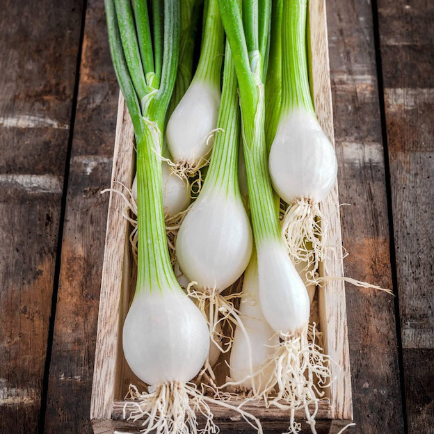 Bunched Bulb Onions | Fresh Produce Specialists | APM Fresh